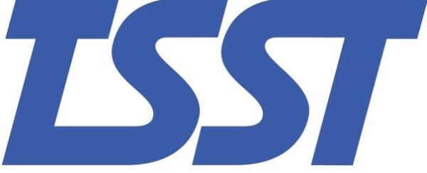 TSST, 자회사 설립해 보조배터리 시장 진출