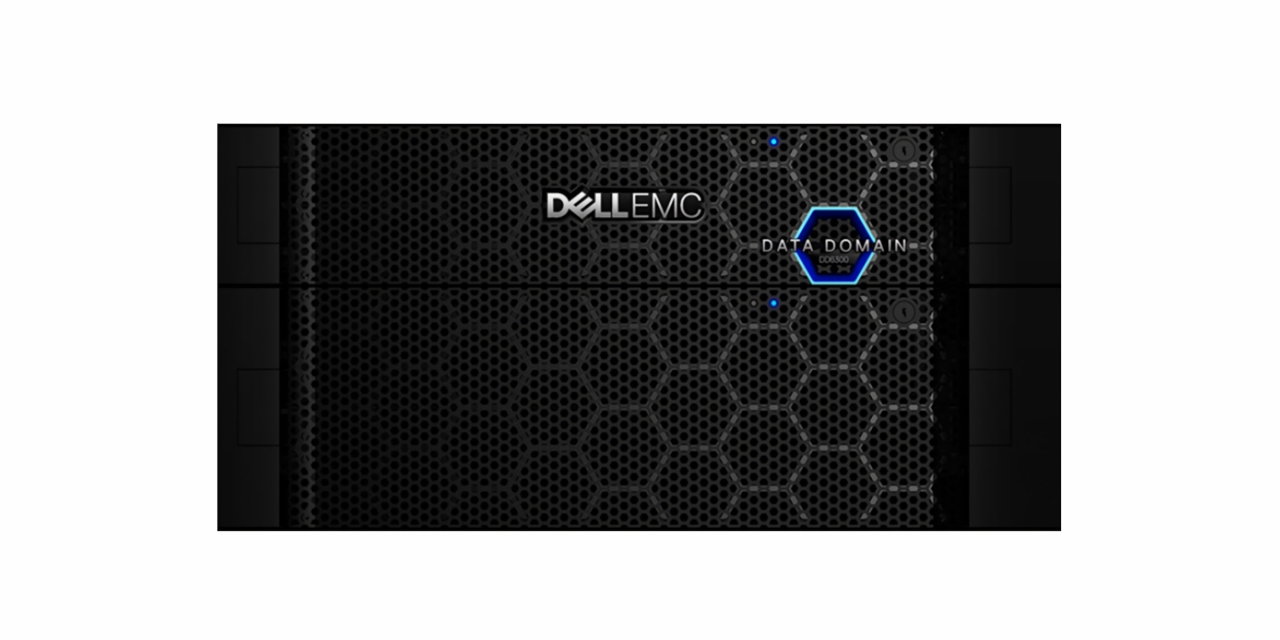 델 EMC, 나라장터에 공공기관 지원 ‘데이터도메인 6300’ 등록