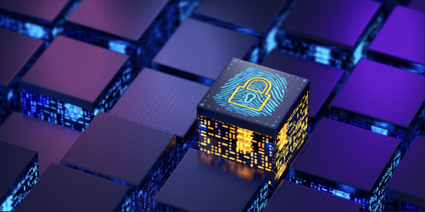 The New Era of SNS as National Security